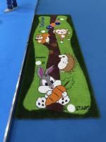 China 16mm Pile Height Portable Pictured Artificial Grass with Customizable Patterns and Colors Patterned Artificial Turf for sale