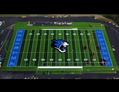China Pictured Artificial Grass Pictured Artificial Turf 40mm Football Turf Customized Logos for sale