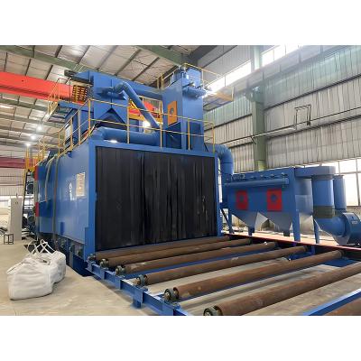 China Large Roller Conveyor Shot Blasting Machine For Steel Structure Cleaning for sale