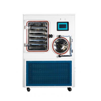 China Fruit And Vegetable Food Vacuum Freeze Dry Machine for sale