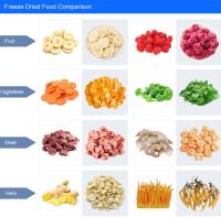 China Industrial Vacuum Freeze Dryer 5.2m2 Shelf Area 3500kg Lyophilization Equipment for sale