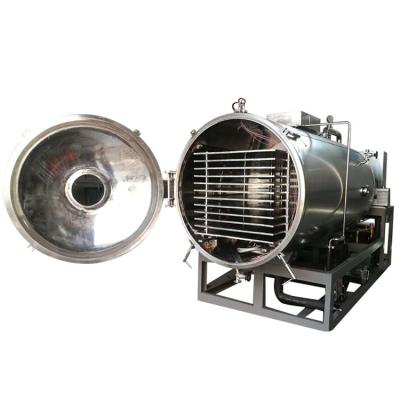 China Commercial Freeze Dry Machine 35kg Capacity 80kw Power for Vegetables Meat Fruit for sale