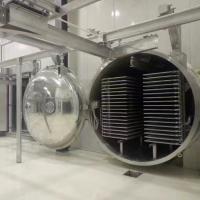 China SED-30 Vacuum Freeze Drying Machine 30m2 300kg Ice Capacity for Vegetables Fruits for sale