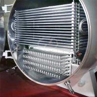 China SED-30 Vacuum Freeze Drying Machine 30m2 300kg Ice Capacity for Vegetables Fruits for sale