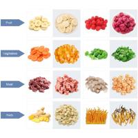 China Commercial 2300W Vacuum Freeze Dryer 7-8kg Batch Food Lyophilizer for Vegetables Flowers for sale