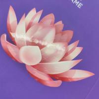 China Custom Texture Surface Treatment Folding Carton Packaging Makeup Skincare Packaging Boxes Cosmetic Beauty Box for sale