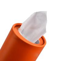 China Custom Cylinder Tube Packaging Round Cardboard Boxes Cylinder Tissues Box for sale
