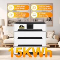 China Growatt 51.2V LiFePO4 Stackable Solar Battery - 5kWh to 30kWh Capacity, 100A Charge/Discharge, RS485/CAN Communication for sale