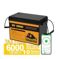 China 12.8V 100Ah-300Ah LiFePO4 Battery Pack with APP Control | 4000 Cycles & 5-Year Warranty for sale