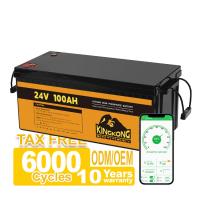 China 24V 100Ah/200Ah LiFePO4 Solar Storage Battery with 4000+ Cycle Life and 5-Year Warranty for sale