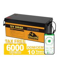 China 12V 24V LiFePO4 Battery Pack 100Ah 200Ah 300Ah for Solar Energy Storage Systems for sale