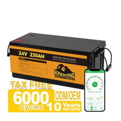 China OEM 24V 100AH 200AH LiFePO4 Battery Pack with BMS for Solar Systems and Electric Vehicles for sale
