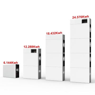 China 51.2V LiFePO4 Energy Storage Battery Pack 12.28-24.57kWh Capacity with 6000+ Cycle Life for sale