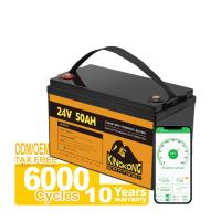 China LiFePO4 Battery Pack 12V 100Ah 200Ah 300Ah for Marine RV Applications with 5-Year Warranty for sale
