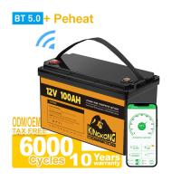 China OEM LiFePO4 Battery 12V 24V 48V 100AH Energy Storage with IP65 Waterproof and Heating Pad for sale