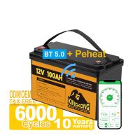 China 12.8V 100Ah 200Ah 300Ah LiFePO4 Lithium Battery Pack for Solar Energy Storage Systems for sale