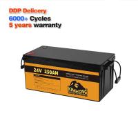 China 24V 50Ah-460Ah LiFePO4 Battery with BMS | 1000A-2500A Peak Current | Industrial Grade for sale