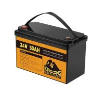 China 24V 50Ah-460Ah LiFePO4 Battery with BMS | 1000A-2500A Peak Current | Industrial Grade for sale