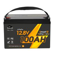 China Custom LiFePO4 Battery Pack 12V-60V 100Ah-500Ah for Marine RV Solar Systems with 6000-15000 Cycle Life for sale