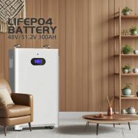 China 51.2V 300Ah Wall Mounted LiFePO4 Battery 15kWh Solar Storage System 8000 Cycles for sale