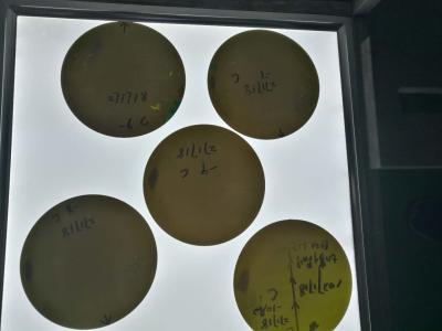 China 3 Inch Silicon Carbide Wafer , Sic Substrate Excellent Transient Characteristics for sale