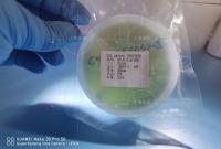 China 3inch 4inch 2inch 0.35mm DSP surface 4h-N Silicon Carbide Sic Wafers for sale