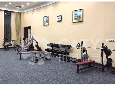 China Sports Crossfit Gym Flooring Mats Square Fitness Rubber Tile for sale