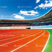 China Decade-proof Colored EPDM Rubber Running Track Materials SBE Rubber Granules  With Sports Track Installation for sale