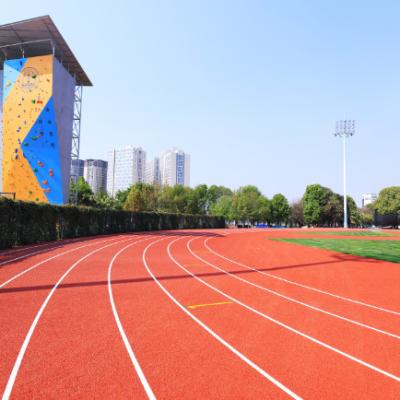 China Breathable Rubber Granules Synthetic Running Track Surface EPDM Recycled Rubber Pellets Rubber Crumb for sale