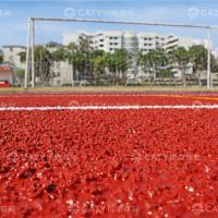 China IAAF Certificated Synthetic Rubber Track For Running By China EPDM Granules Factory for sale