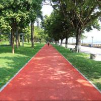 China IAAF Certified Prefabricated Running Track Rubber Jogging Track EPDM Particles for sale
