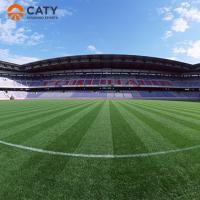 China Free Sample Anti- UV EPDM Rubber Granules for Football Field Artificial Grass Turf Infill for sale