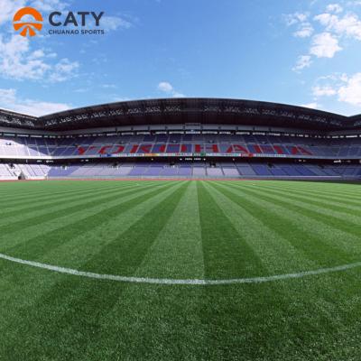 China Free Sample Anti- UV EPDM Rubber Granules for Football Field Artificial Grass Turf Infill for sale