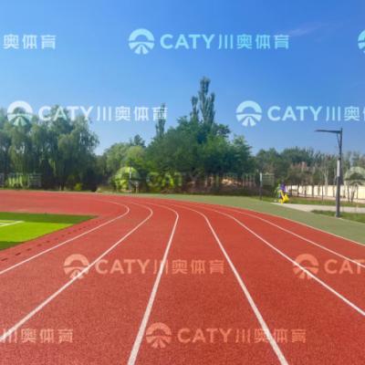 China High Performance Prefabricated Running Track EPDM Rubber Granule Spray Coating Seamless Surface for sale