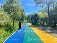 China Outdoor UV Resistance Waterproof Synthetic Rubber Jogging Track Durable EPDM Sports Flooring for sale