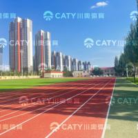 China Easy Installation Rubber Running Tracks For Jogging PU Binder EPDM for sale