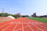 China Flexible and Impact-Resistant Sports Rubber Floor for High-Intensity Workouts for sale