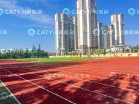China Versatile Options of EPDM Rubber Granules for Multi-Sport and Fitness Spaces for sale