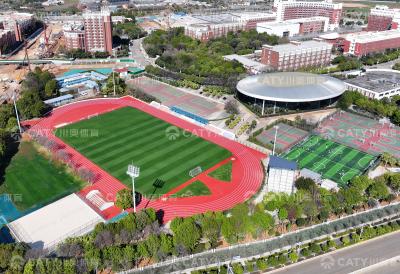 China IAAF Certified Mixed Type Track Optimal Performance for Professional Competition and Training for sale