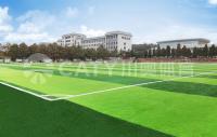 China All-Weather EPDM Infill with Superior Shock Absorption and UV Resistance for Soccer Fields for sale