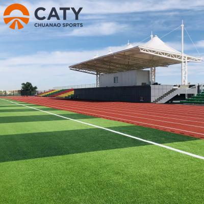 China Eco-Friendly and Premium ETPR Rubber Granules Perfect for Football, Rugby, and Sports Turf Infill for sale