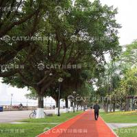 China Project Grade EPDM Granules for Walking Trail Playground Outdoor Surface for sale