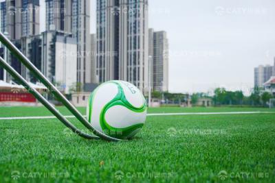 China Eco-friendly Green EPDM Particles Recycled Rubber Football Grass Underlay Artificial Grass Infilling Rubber Granules for sale