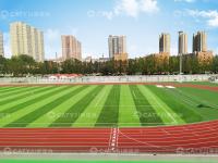 China Non Toxic Rubber Infill Granulates Artifical Turf Infill EPDM for Schools Football Pitch Soccer Field and Artificial Grass for sale