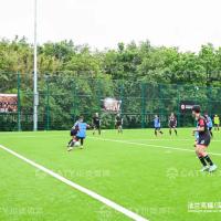 China FIFA Approved 2-4MM Anti-Slip EPDM Rubber Granules for Artificial Grass Infill for sale