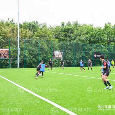 China FIFA Approved 2-4MM Anti-Slip EPDM Rubber Granules for Artificial Grass Infill for sale