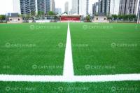 China Long Lasting EPDM Rubber Infill Granulates for Artifical Turf Infills for Football Pitch Sports Ground for sale