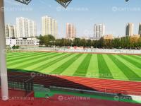 China Weather Proof Rubber Infill EPDM Rubber Granules Rubber Crumbs for Soccer Pitch Football Field and Artificial Turf for sale