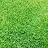 China Weather Proof Rubber Infill EPDM Rubber Granules Rubber Crumbs for Soccer Pitch Football Field and Artificial Turf for sale