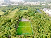 China High Elasticity Artificial Grass Infill Granules for Soccer Pitch Football Field and Sports Turf Areas for sale